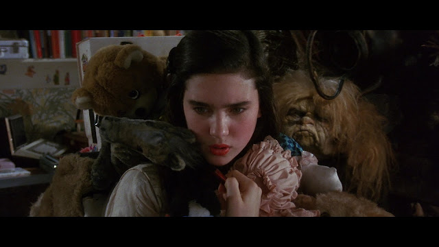 Confessions of a Former Hoarder - Little Lamb