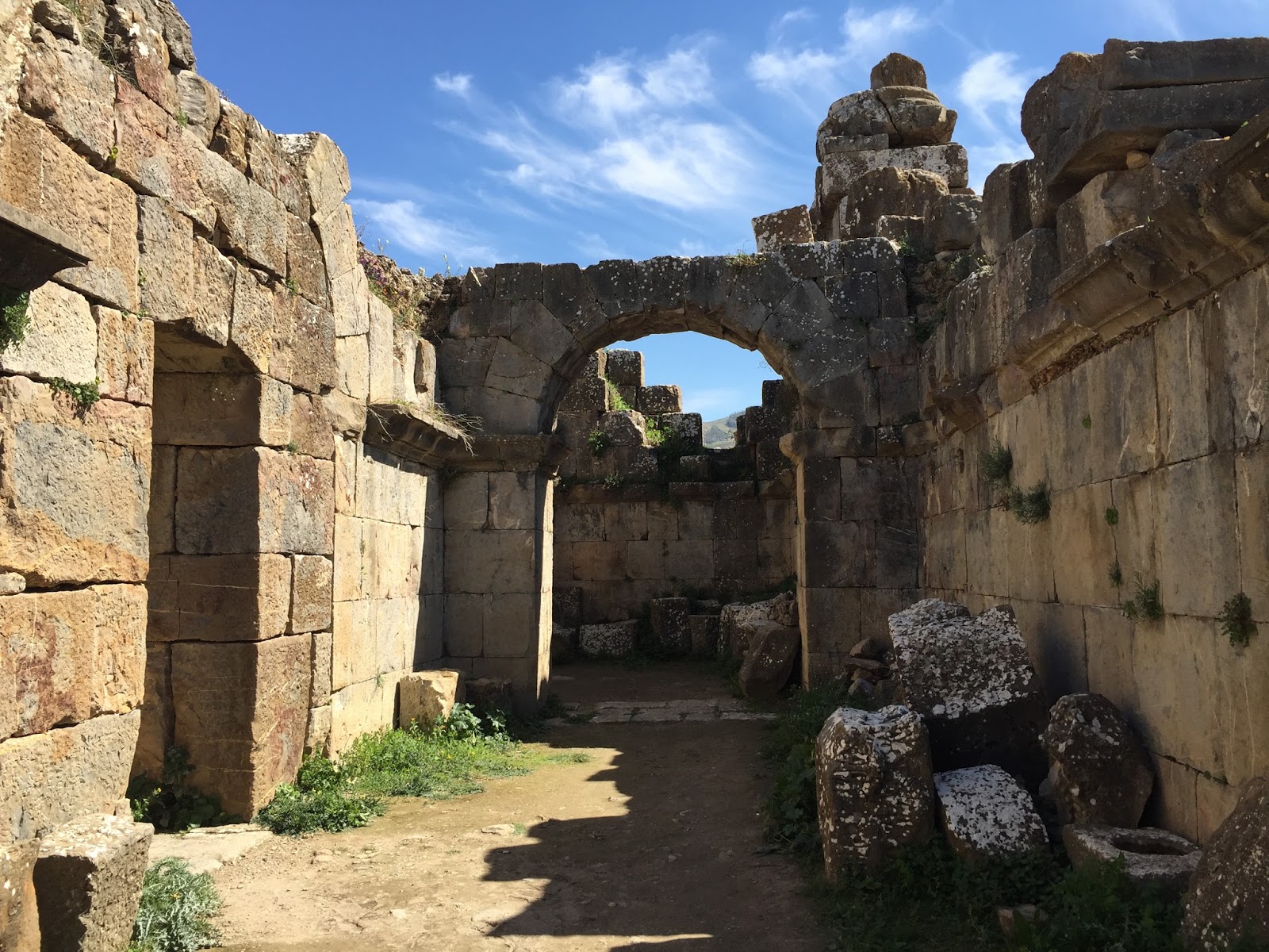 Tocho T8: Djemila (Cuicul, ciudad romana en Argelia), entre el comercio ...