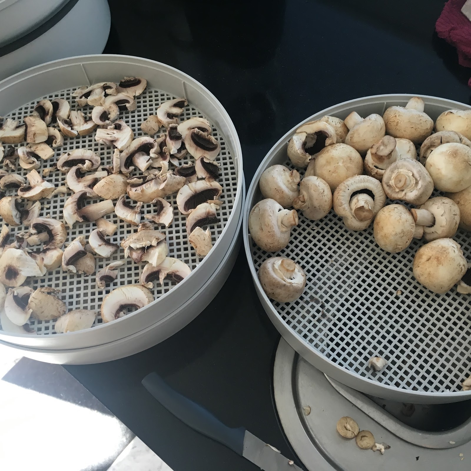 HEX - passie voor zelfmaken: gedroogde champignons of andere paddenstoelen