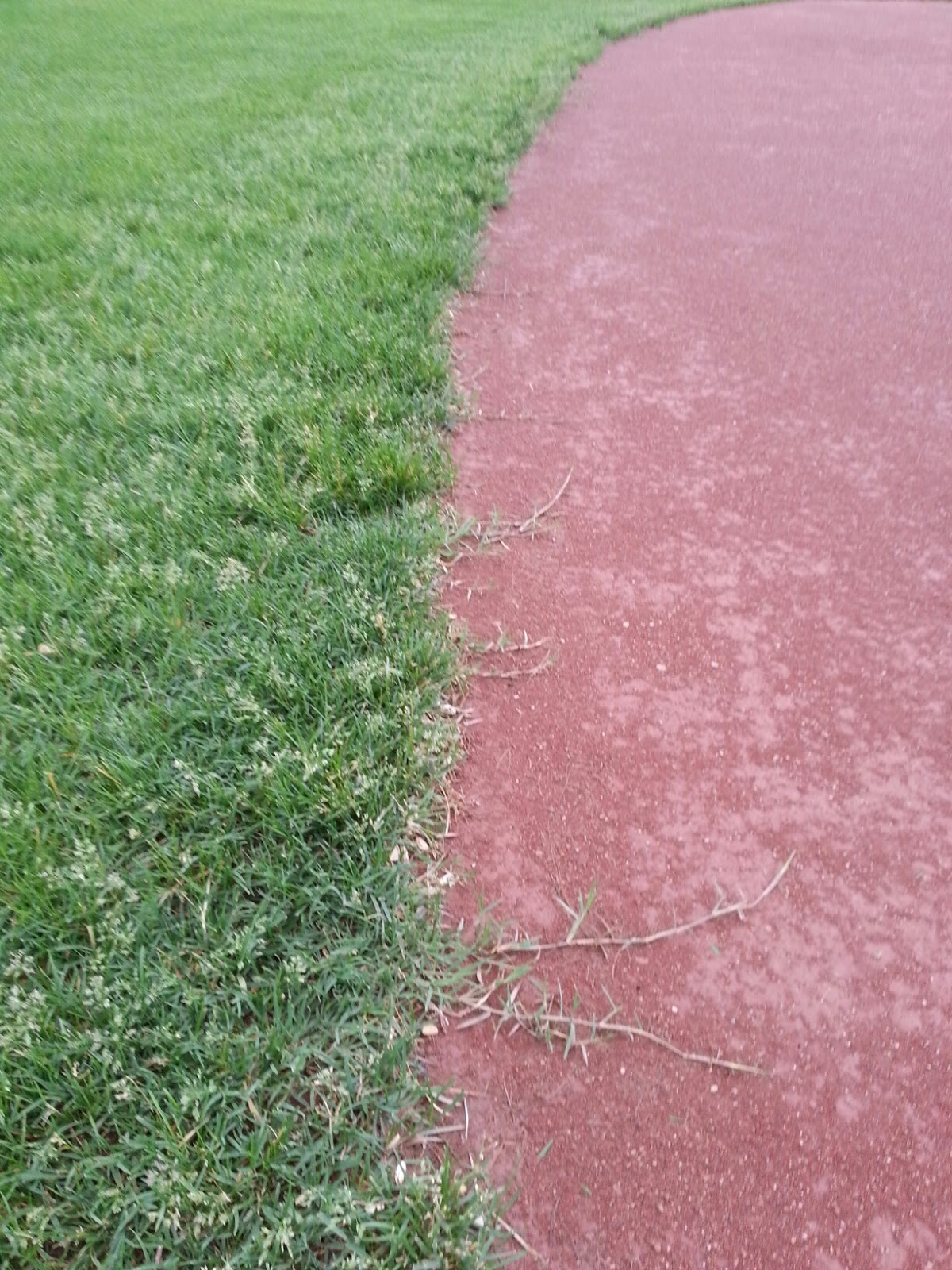 iaTURF: MORE BERMUDAGRASS INFORMATION