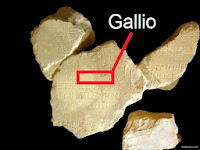 Bible and Archaeology - Online Museum: 46. Gallio