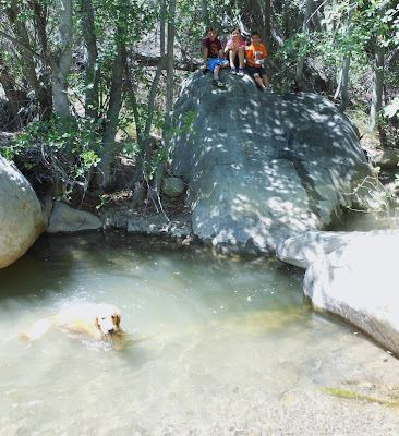 1000 Hikes in 1000 Days: Days 523 & 524: Camping on the Matilija Trail