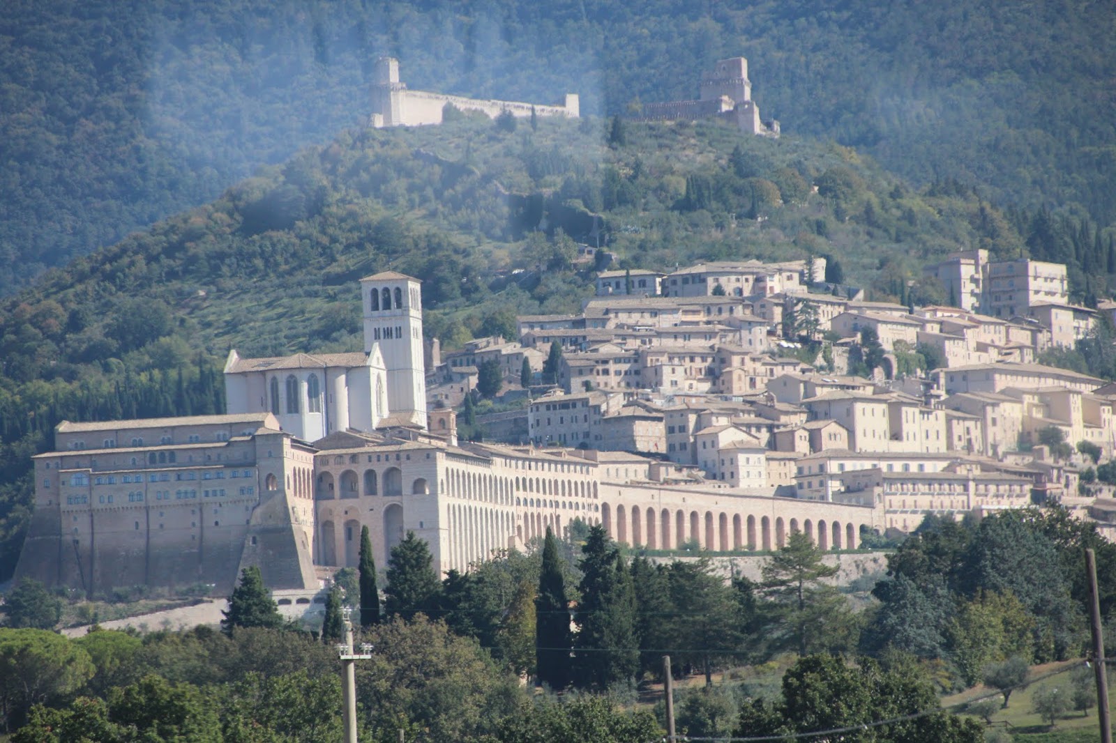 Historia y Genealogía: Asís. Italia