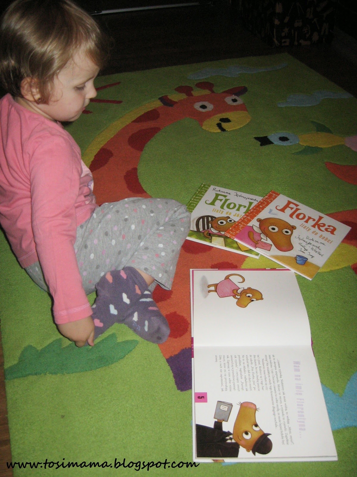 "Pamiętnik Florki", czyli słów kilka o pewnej sympatycznej ryjówce.