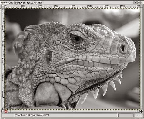 Part 2 : Implementasi Grayscale dengan Java