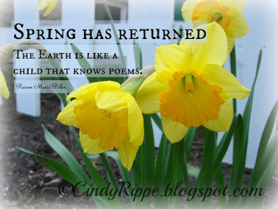 Cindy Rippe, Artist - Florals - Family - Faith: Spring is Driving me to ...