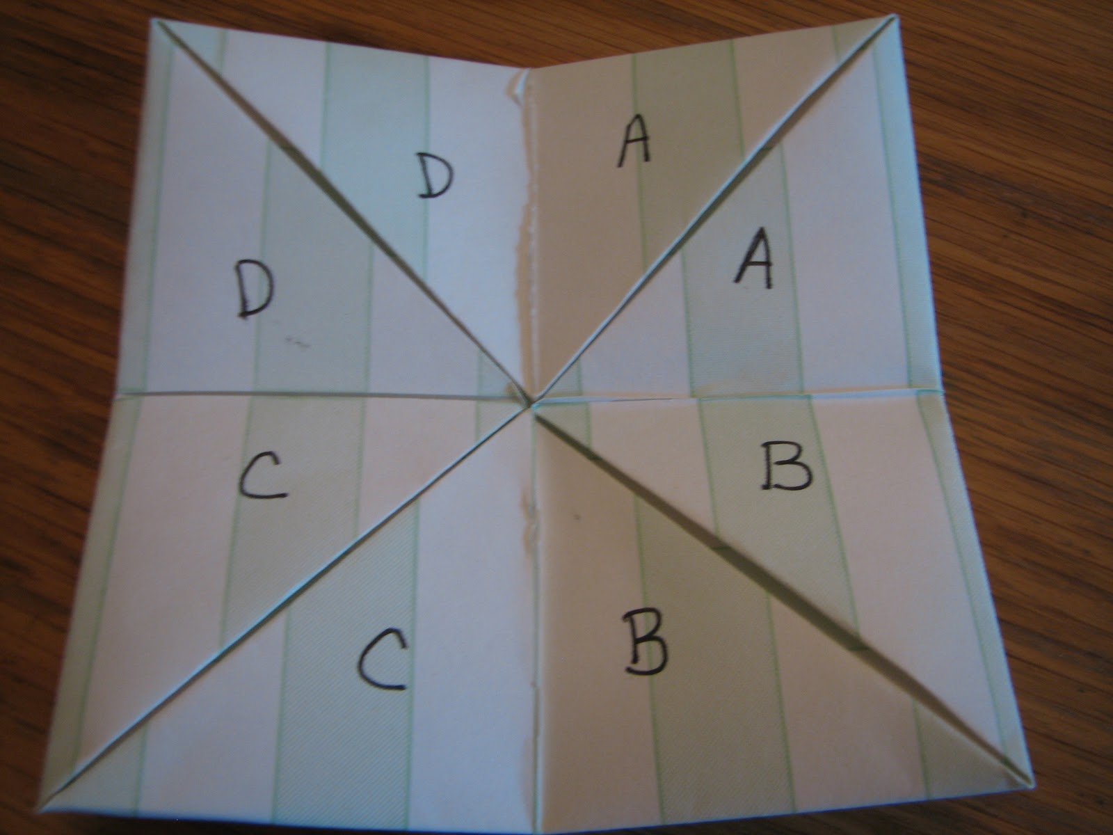 Science Matters: Turtle, Turtle, Watch Out!: Turtle Hurdles