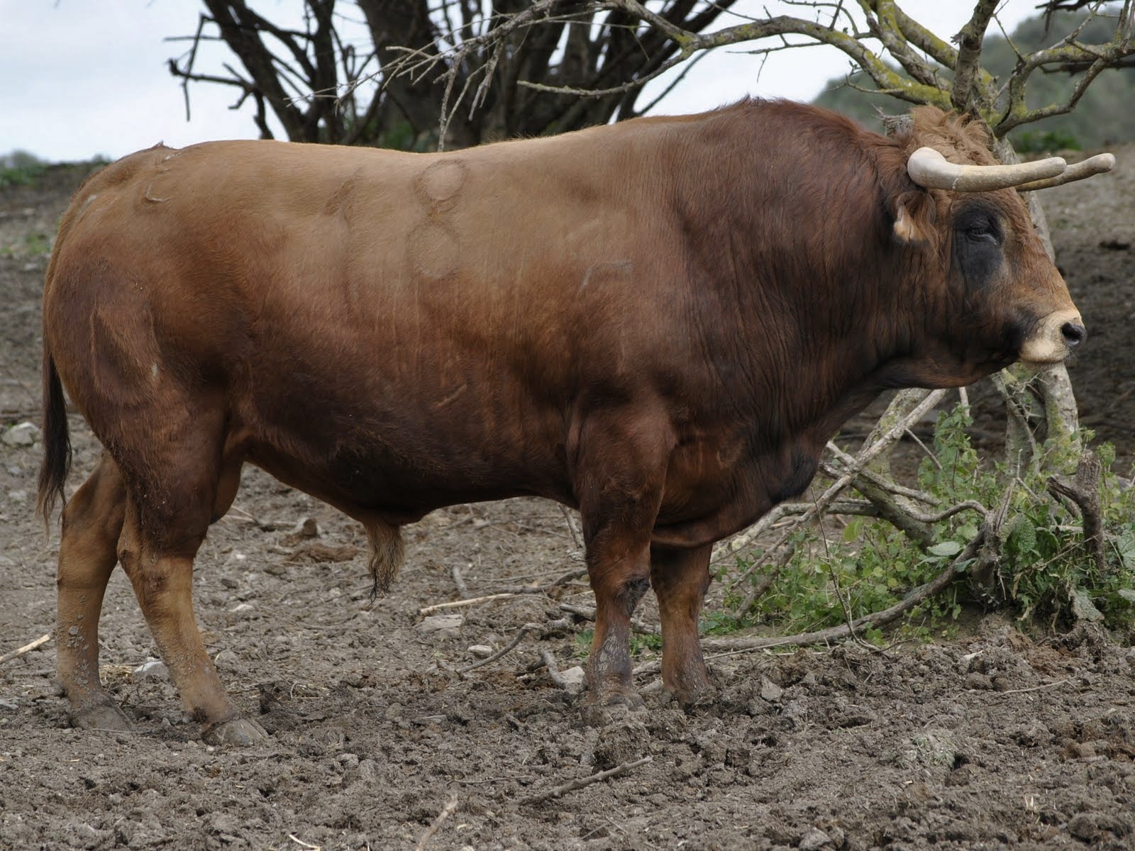 EL RINCON DEL MAESTRO.: julio 2011