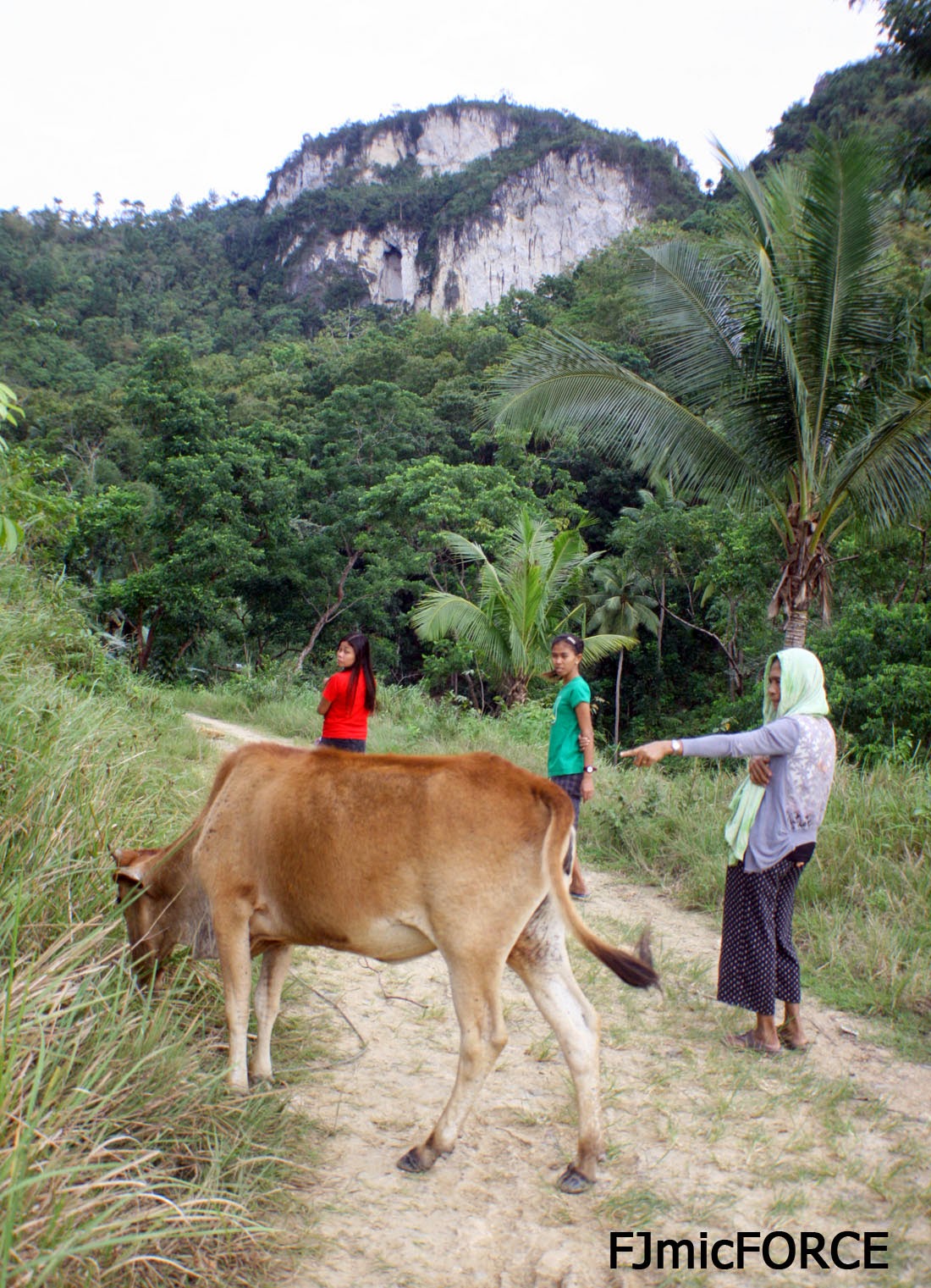 Welcome to Lamac Bayan ng Pinamungahan, Cebu - Public Communication