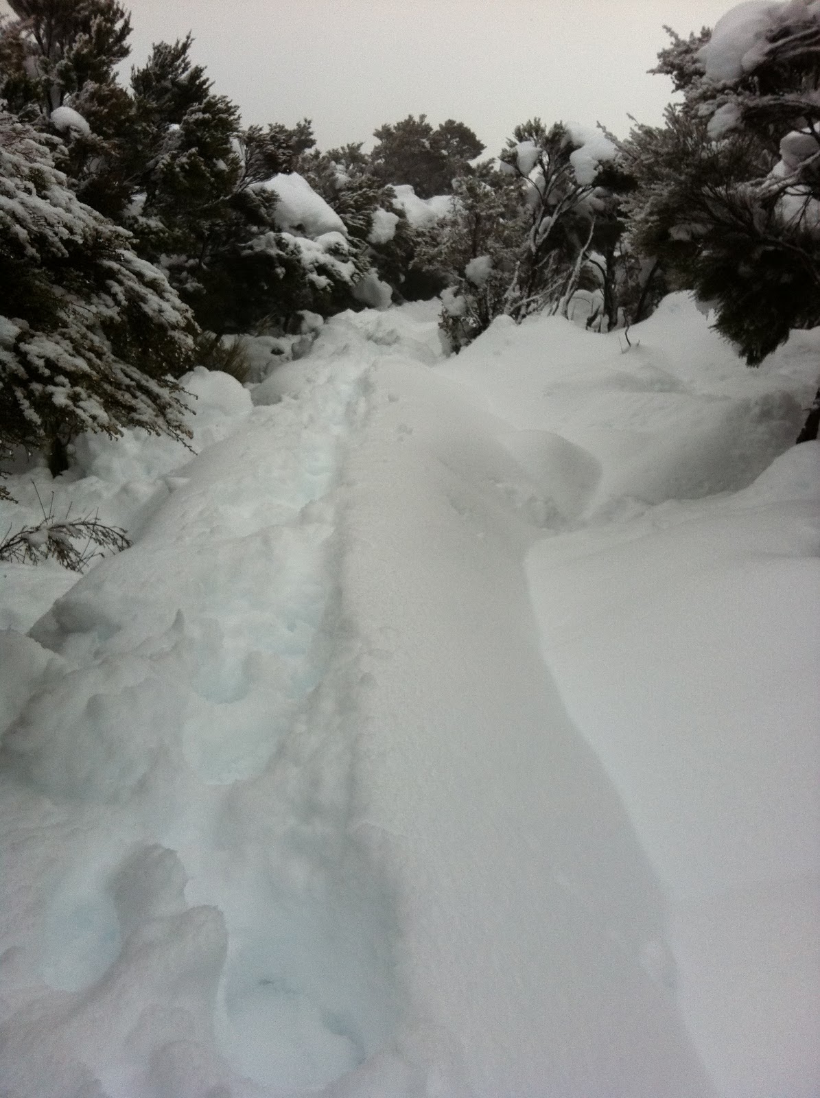 Tararua Trail Runner: Powell Hut