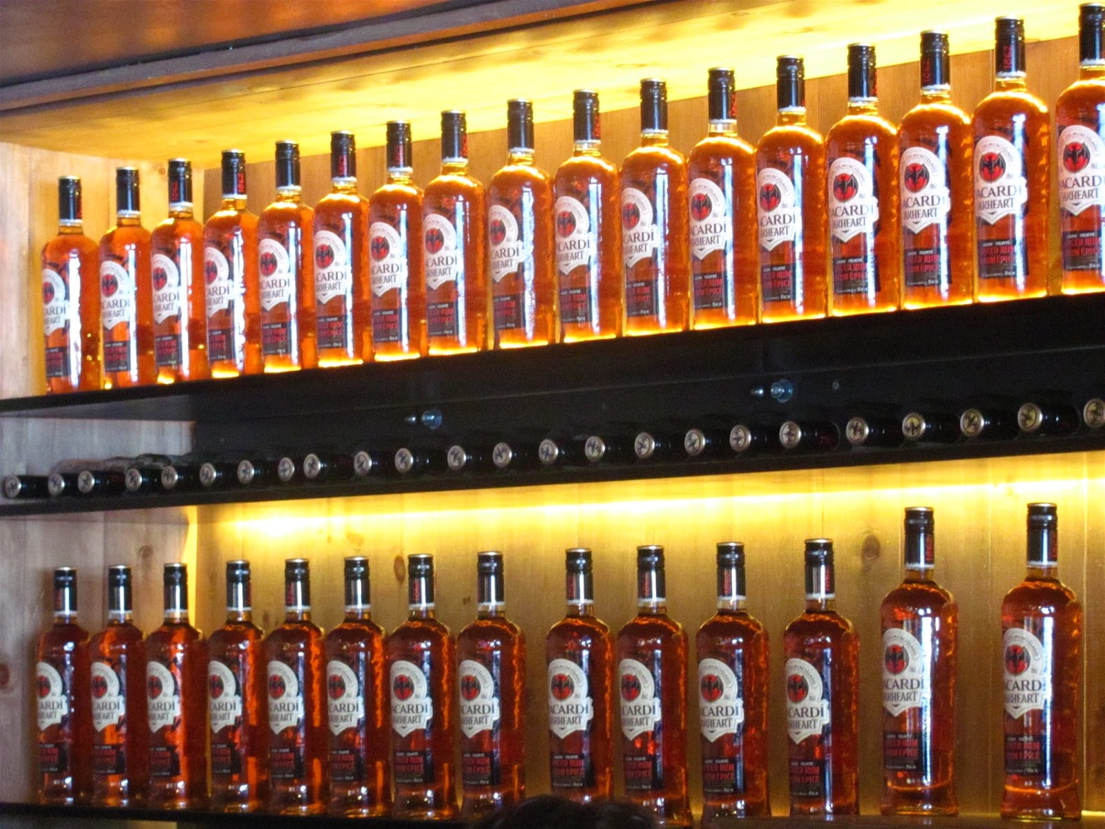 The World of Gord: Bacardi at the Park Launch Night at the Rogers Centre