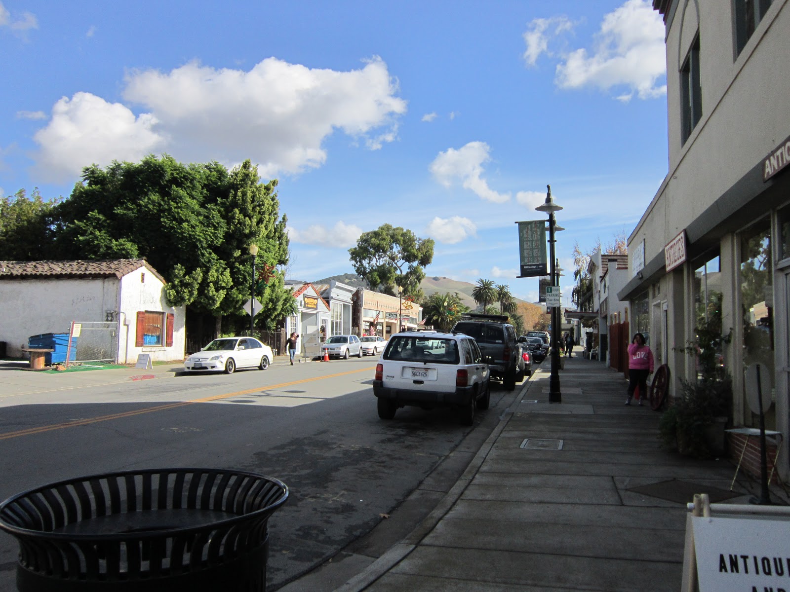 Toni's Vintage Trips: Vintage Clothing Treasures in Niles, CA