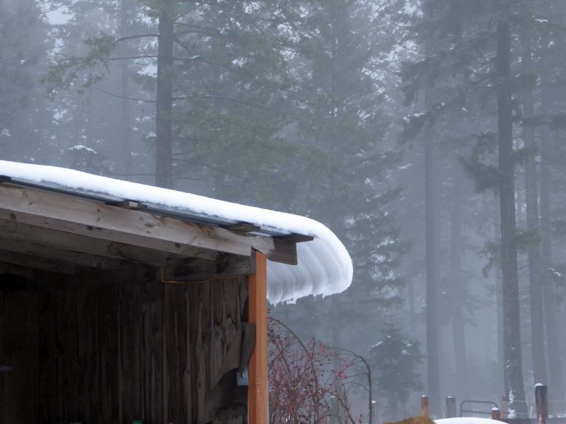 Rural Revolution: Icicles and snow shelves