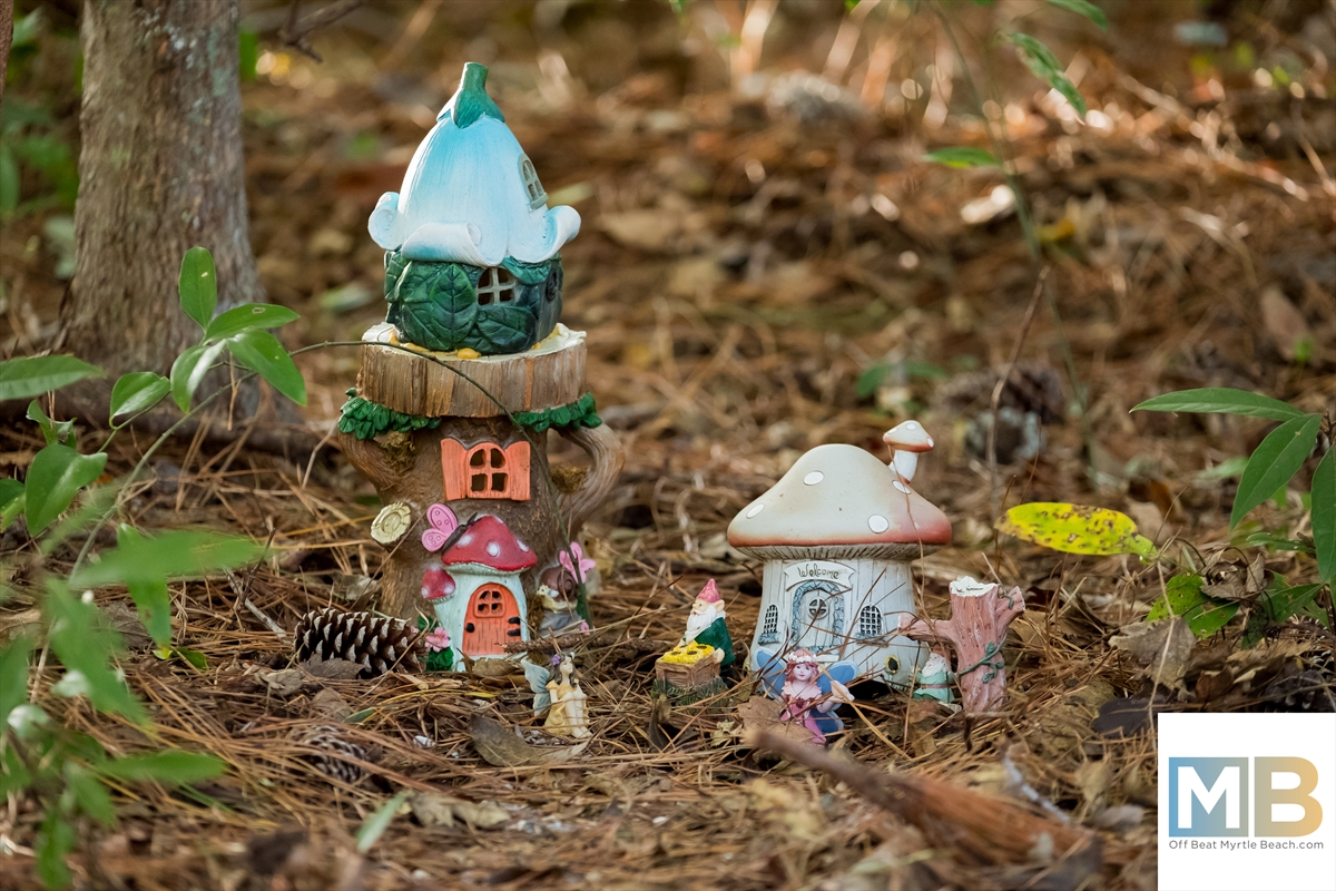Visit this Secret Gnome and Fairy Garden Path hidden in Myrtle Beach