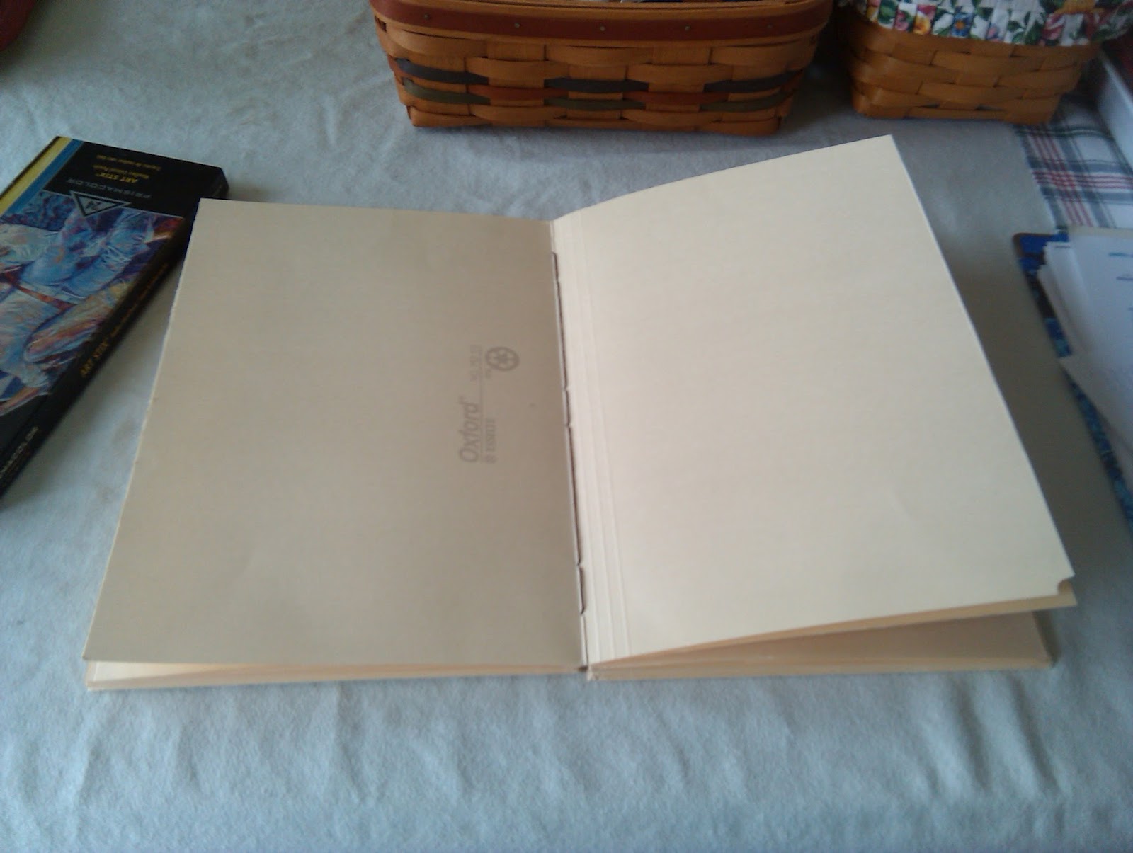 Aileen Biser's Blog: File Folder Blank Book