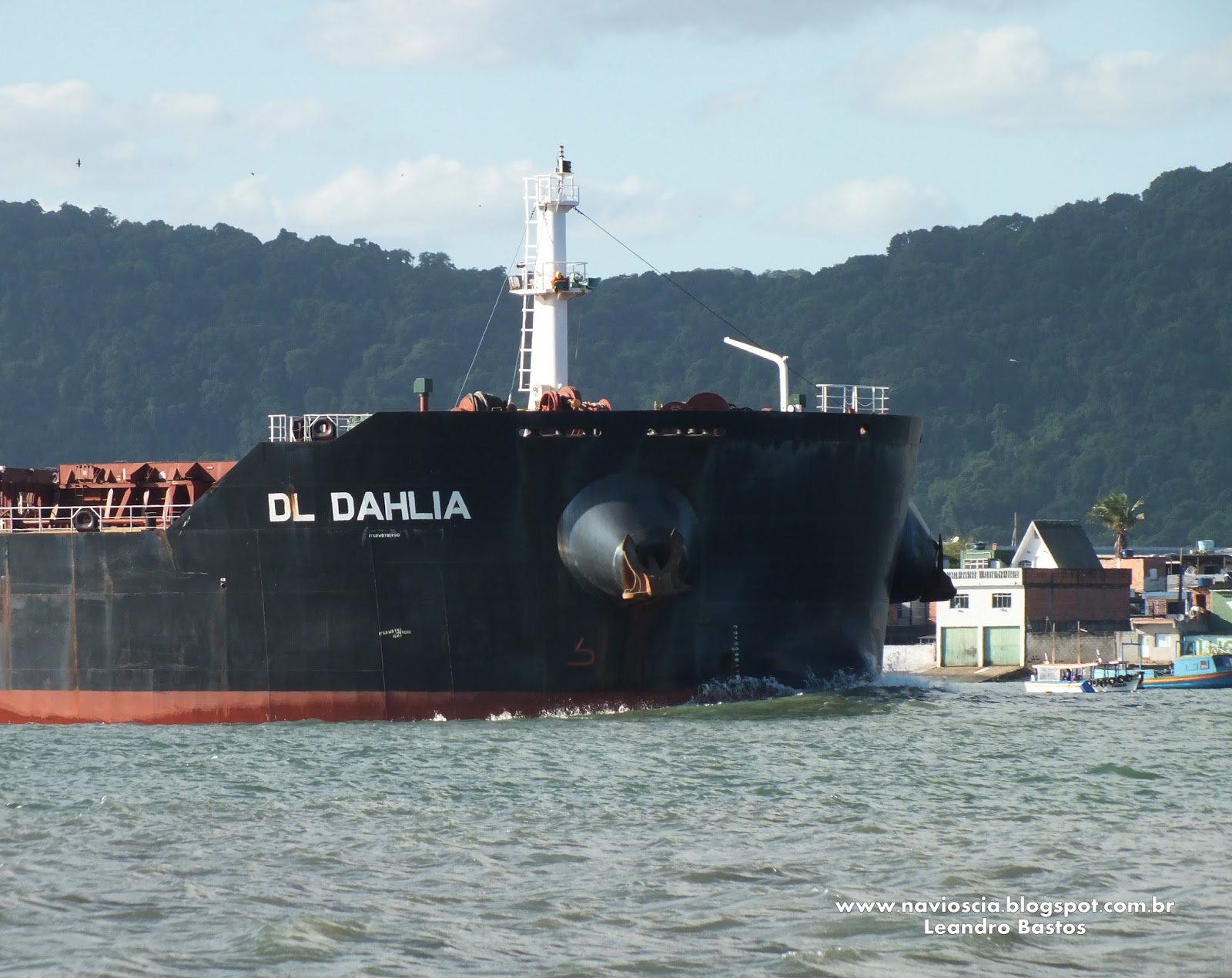 Navios de Santos & CIA: Navio DL DAHLIA