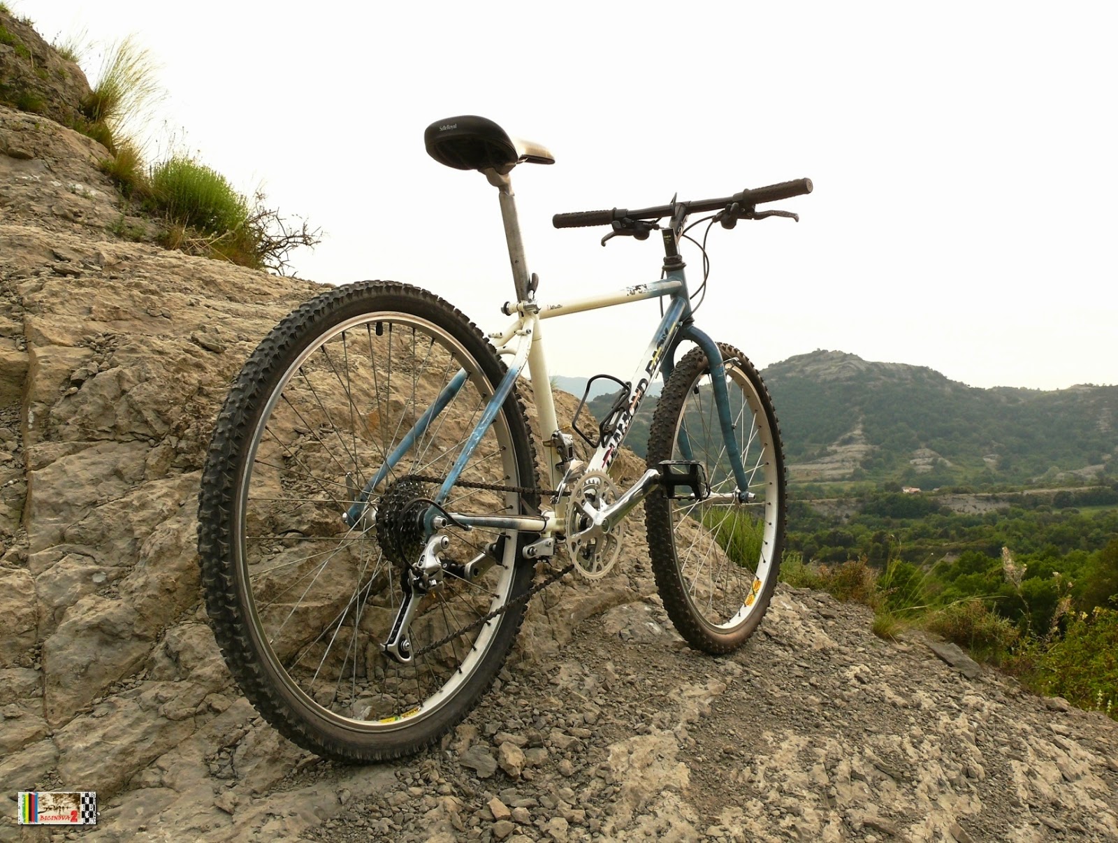 bicinova2: - Diamond Back APEX (1990)