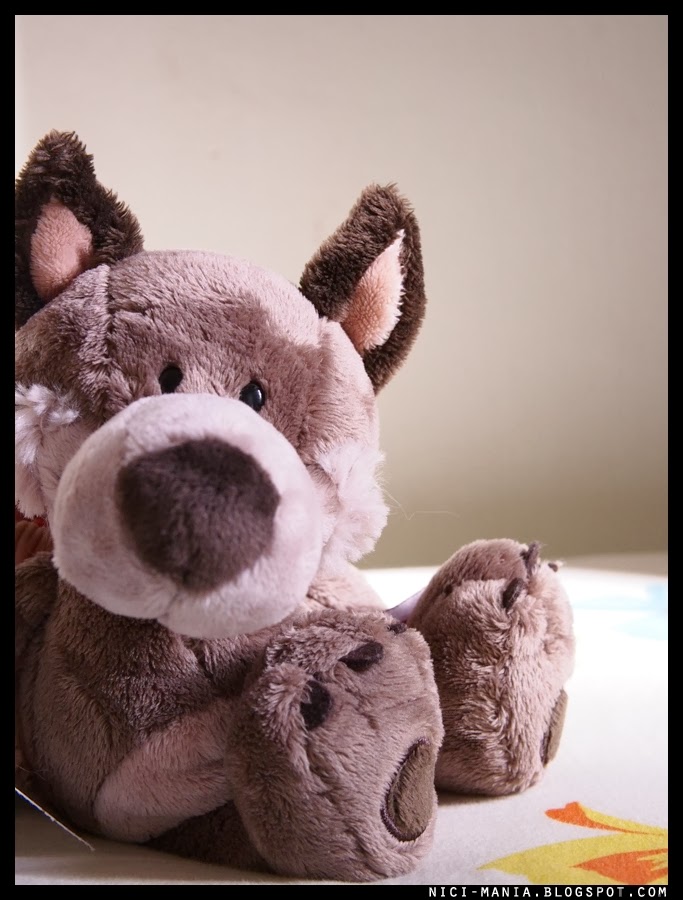 NICI-Mania - i ♥ Love NICI Plush Toys: NICI Woody Wolf