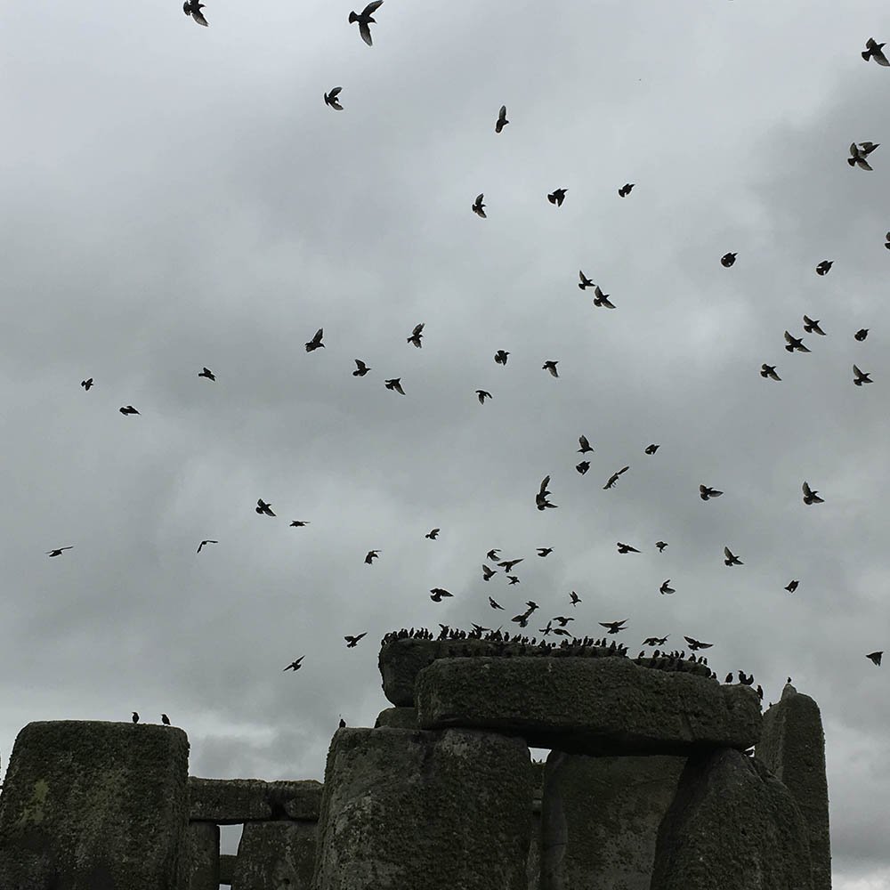 Stonehenge and the Ice Age: Stonehenge and the birds