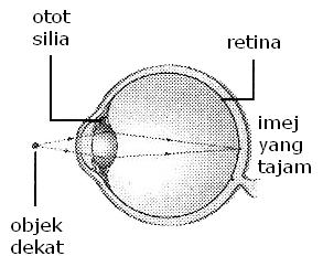 Sains 1 2 3: Mekanisme Penglihatan
