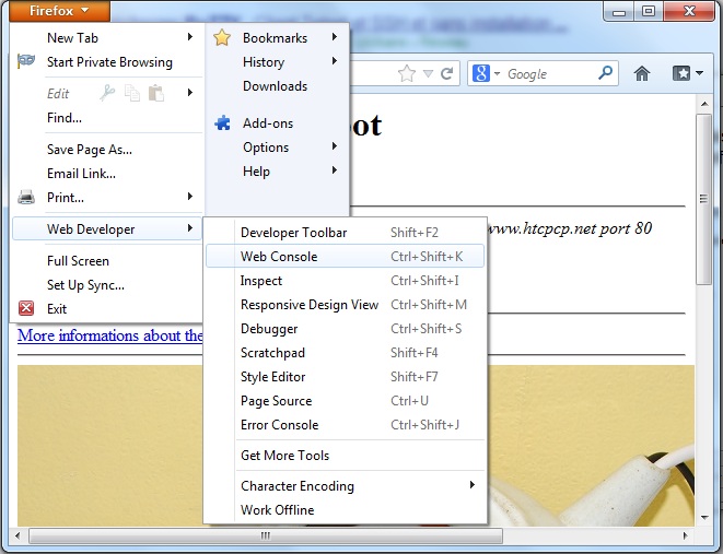 Error 418 - I'm a teapot: January 2013