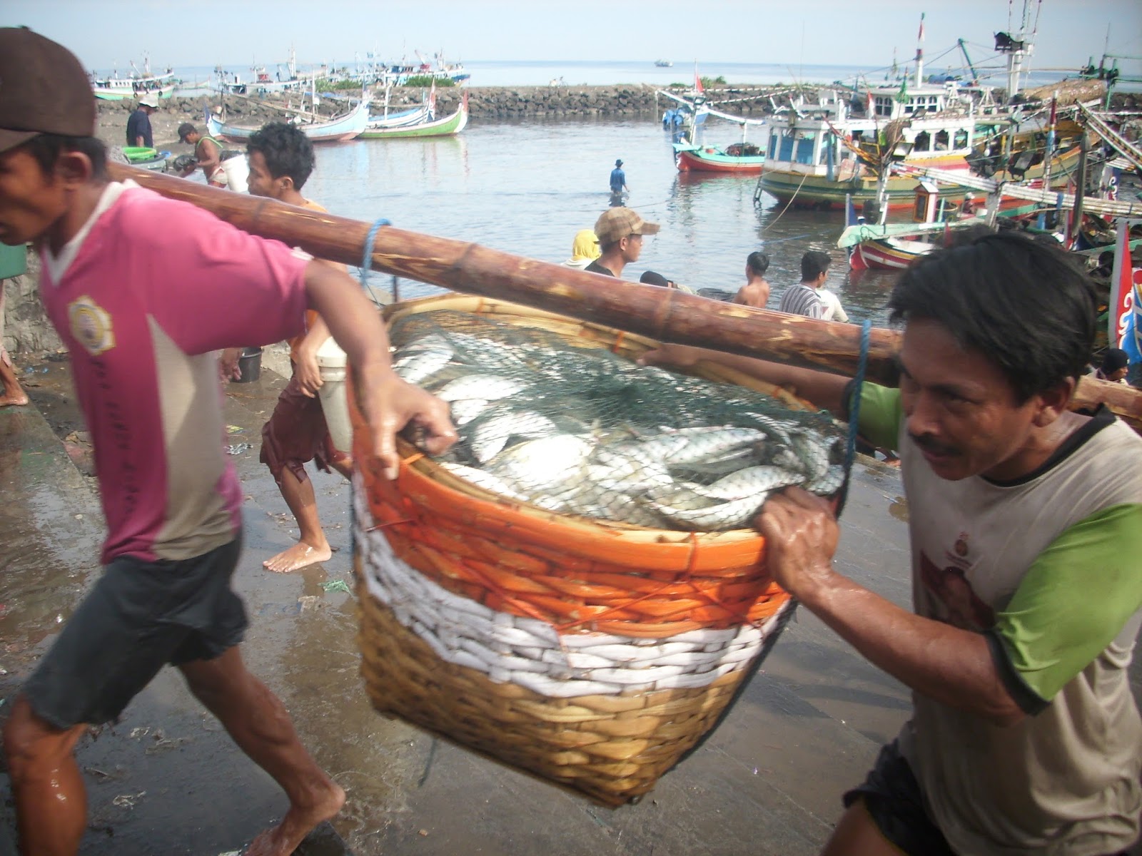 Kajian Efektivitas dan Efisiensi Rantai Distribusi Hasil Tangkapan Ikan ...
