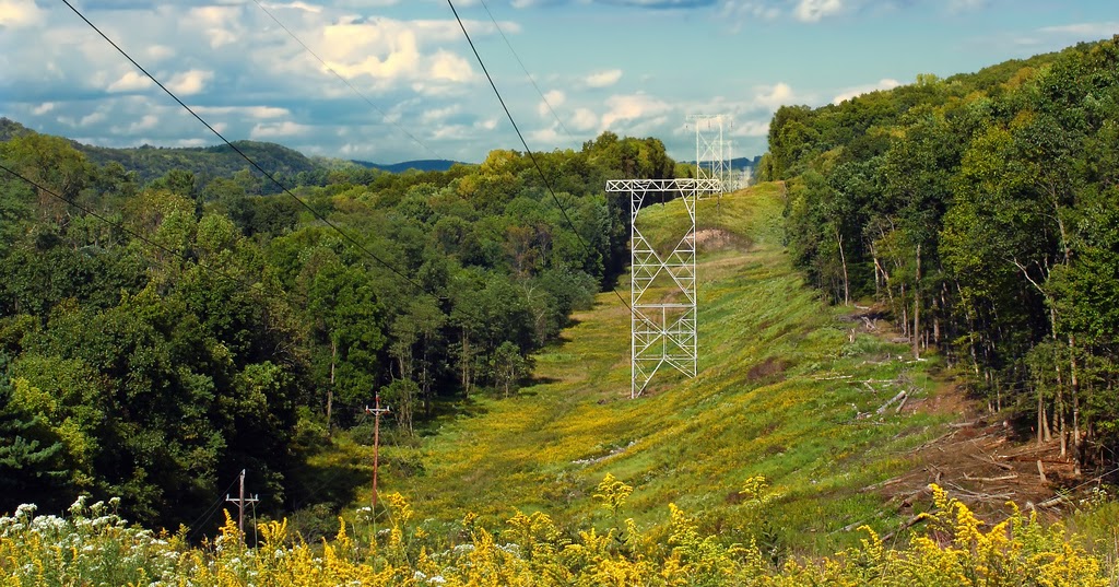 Earth and Space News: Integrated Vegetation Management of Plants in ...