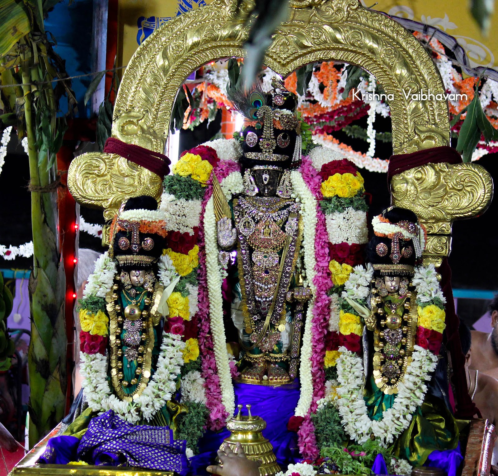 Krishna Vaibhavam: Sri Parthasarathy Perumal - Day 02 Theppotsavam ...