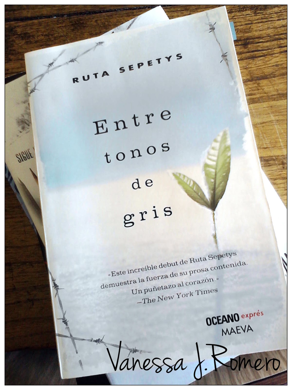 My world between books n´ other things...: #Reseña65 - Entre tonos de ...