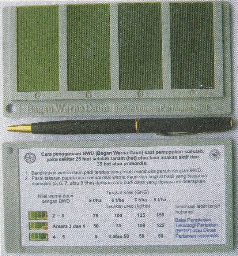 BAGAN WARNA DAUN - pemuda tani