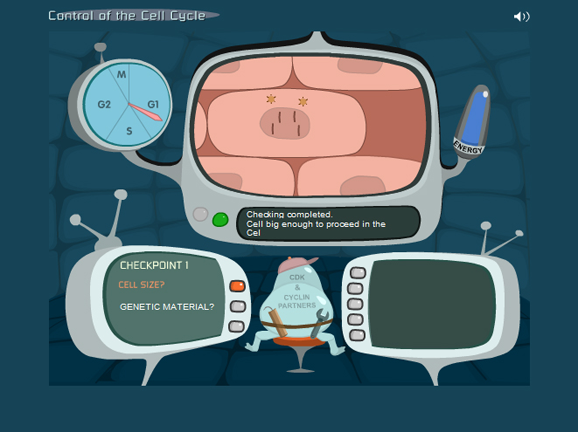 Senior Biology: Cell Division.