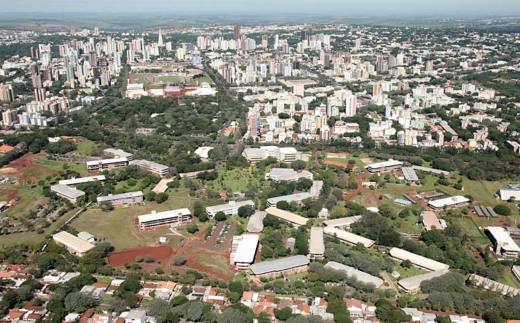 Bioorganic Sciences - Prof. Dr. Armando Pomini