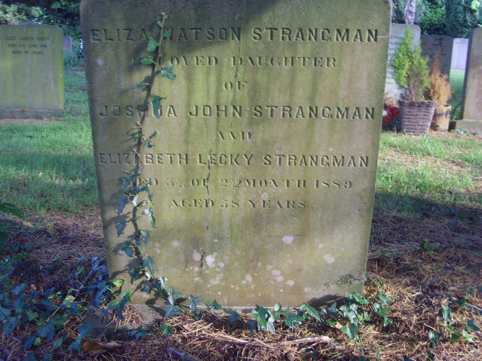 Ring, County Waterford Eire: Waterford Society of Friends (Quakers ...