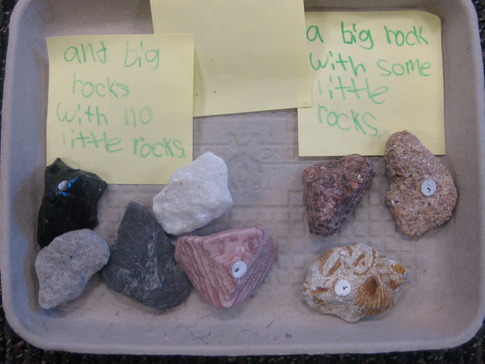 3rd Grade with Ms. G: Rock Collection Project