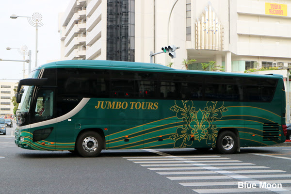 One Day Bus Tour - Okinawa, Japan