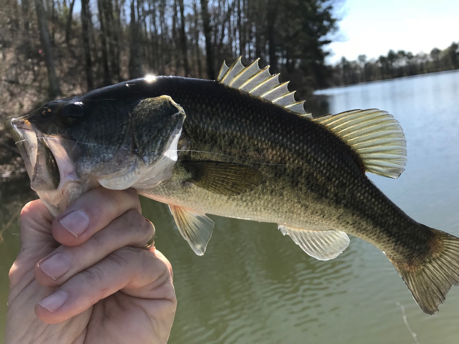 Fishing Through Life: Flexing the Muscle of the 2 Weight