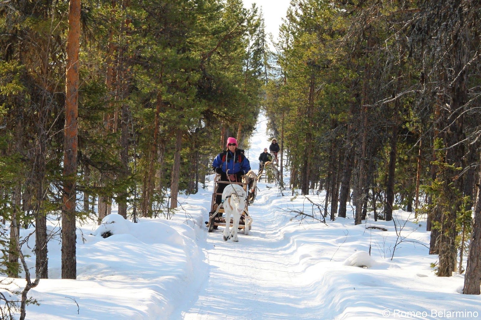 Exciting Outdoor Winter Activities in Sweden’s Lapland | Travel the World