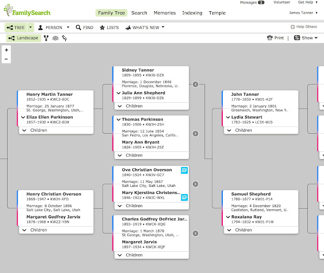 Rejoice, and be exceeding glad...: The Real Revolution in LDS Genealogy ...