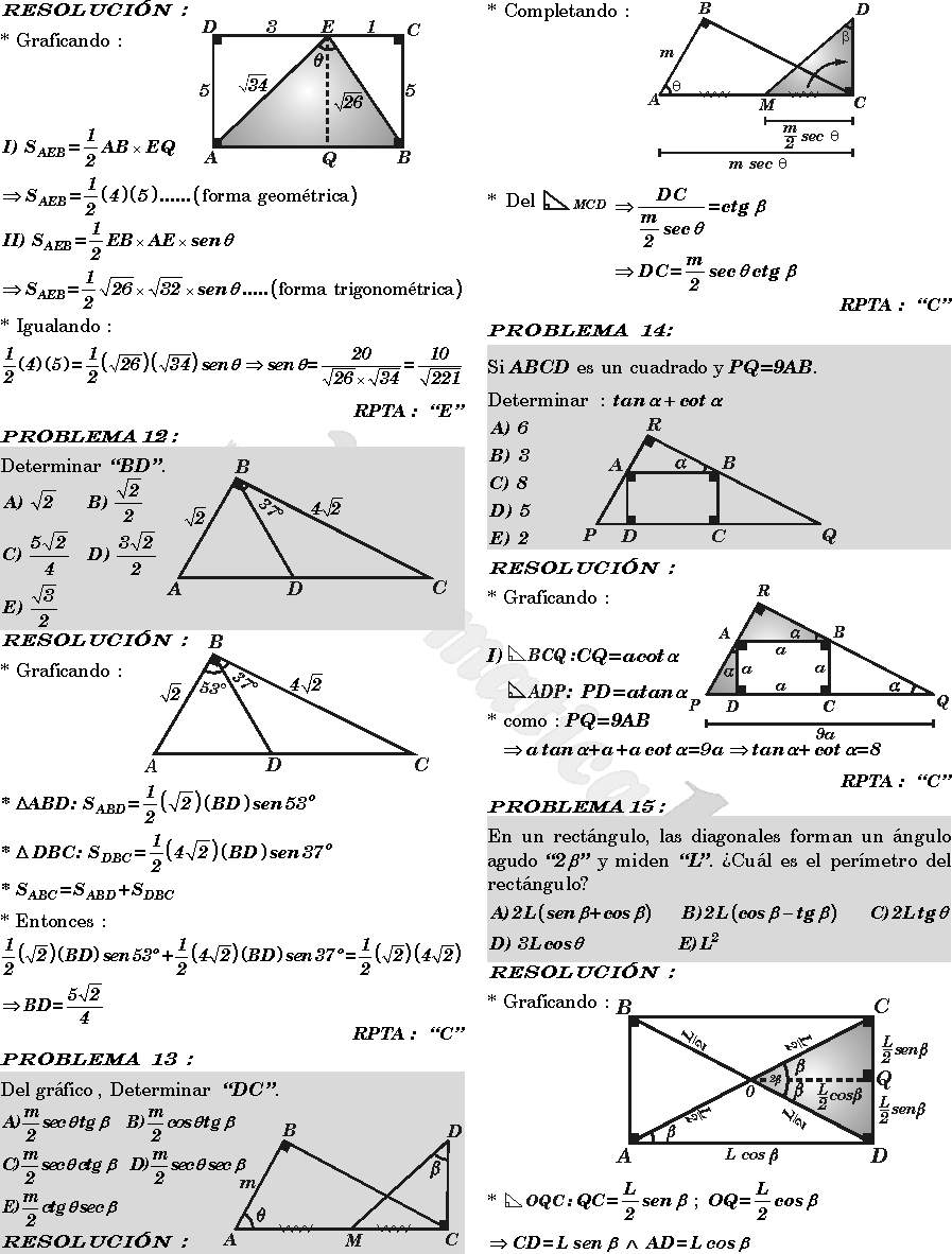 RESOLUCION DE TRIANGULOS RECTANGULOS PROBLEMAS RESUELTOS PDF