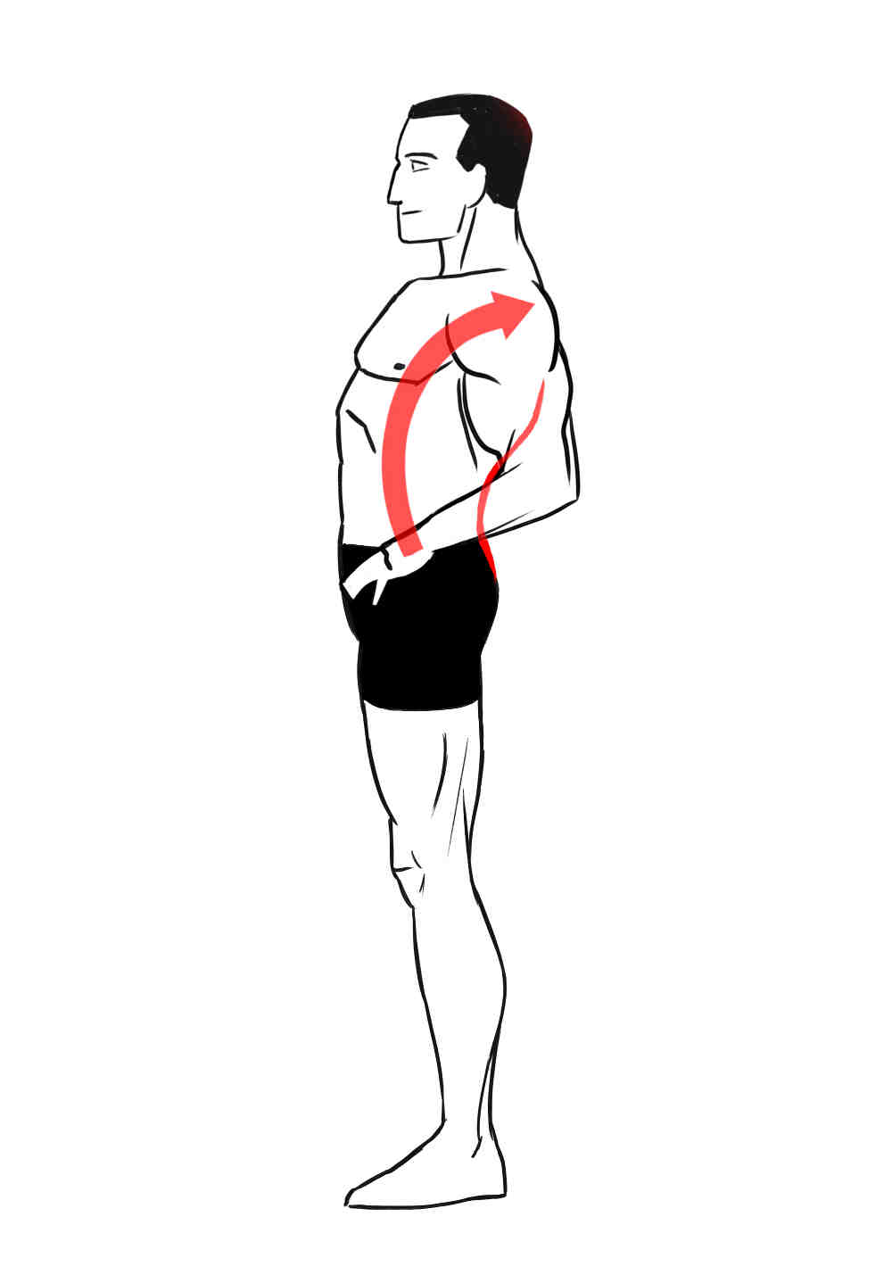 How Do I Improve My Posture | PT-Helper
