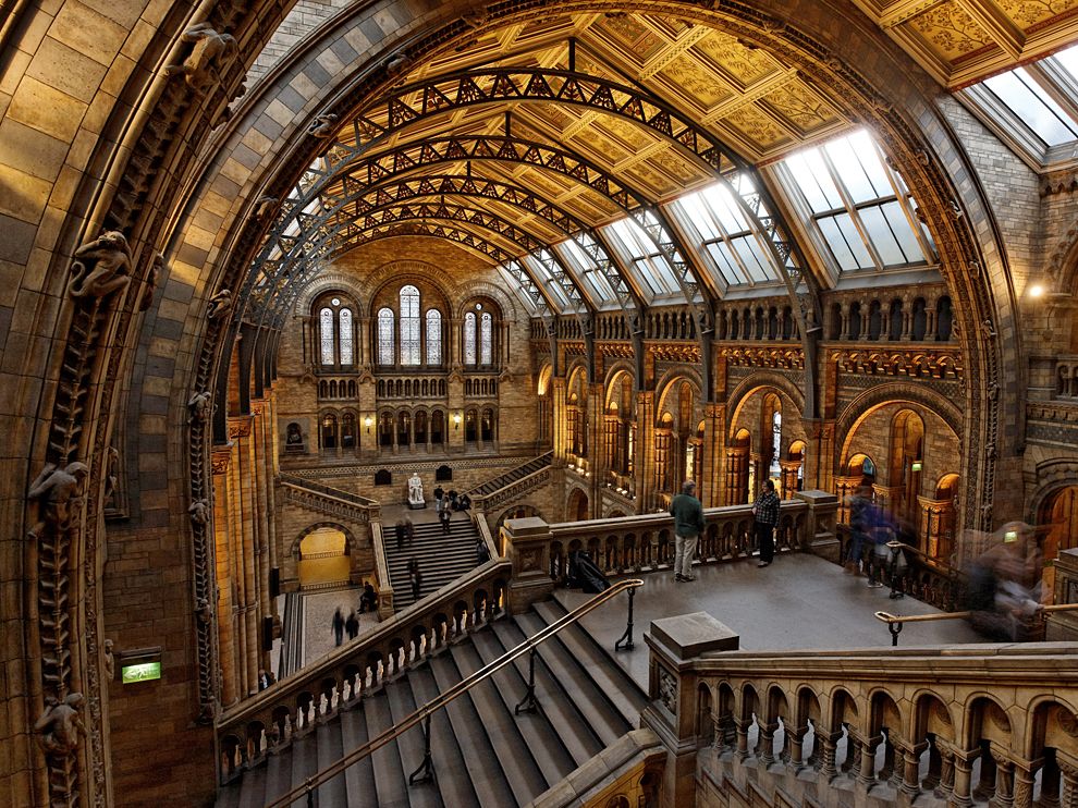 Standing in the Eyes of the World: Natural History Museum, London