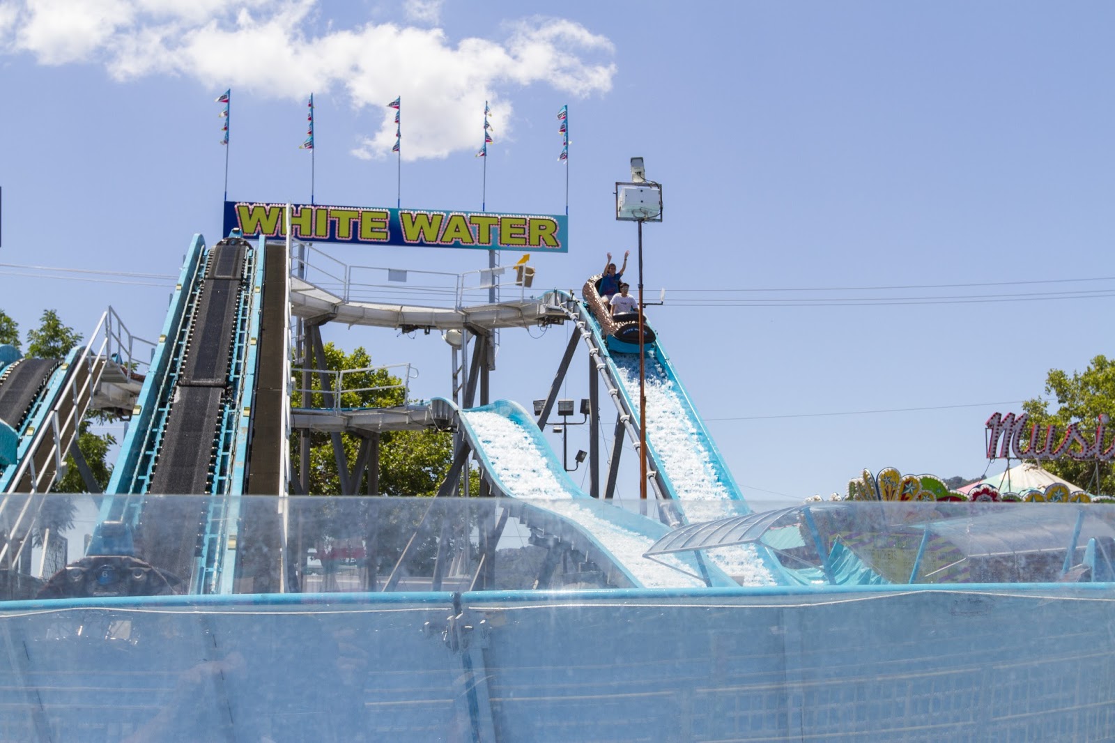 Naturetastic Blog: Alameda County Fair 2013 (Part 2)
