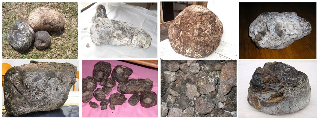 Maldives Archive By: Mustho: WHAT IS AMBERGRIS? HOW TO IDENTIFY IT?