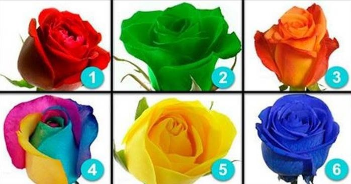 Wisdom Path: A Test Done By A Renowned Psychologist! Choose A Rose And ...
