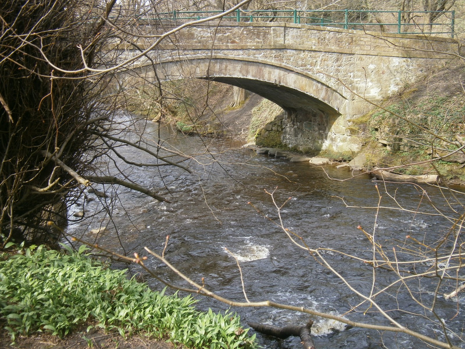 The Scottish Ramblings of an English Lass: Water of Leith ...