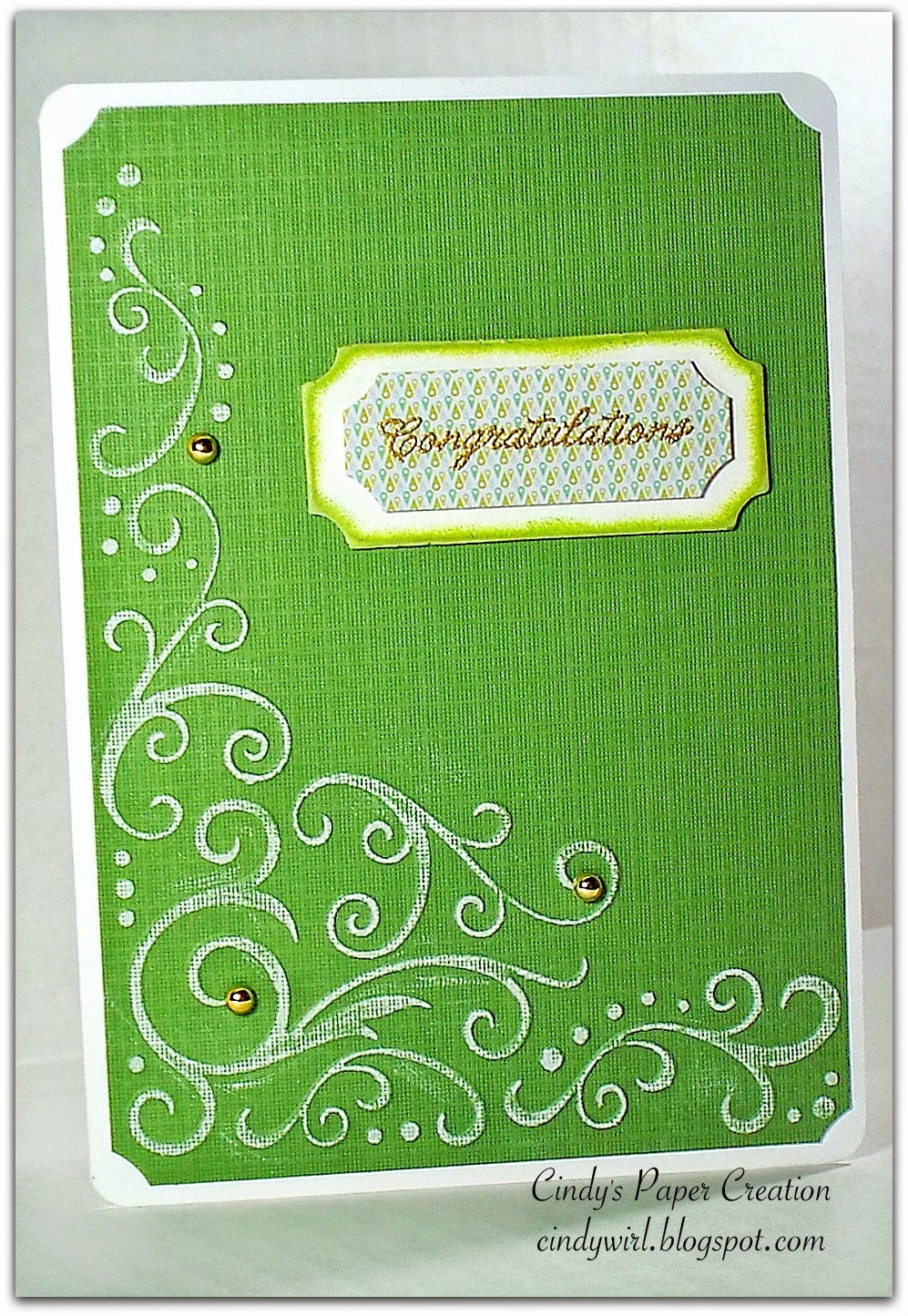 CINDY'S PAPER CREATION: The Possibilities Are Endless