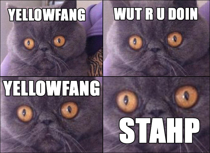 Warrior Cats Yellowfang Quotes. QuotesGram