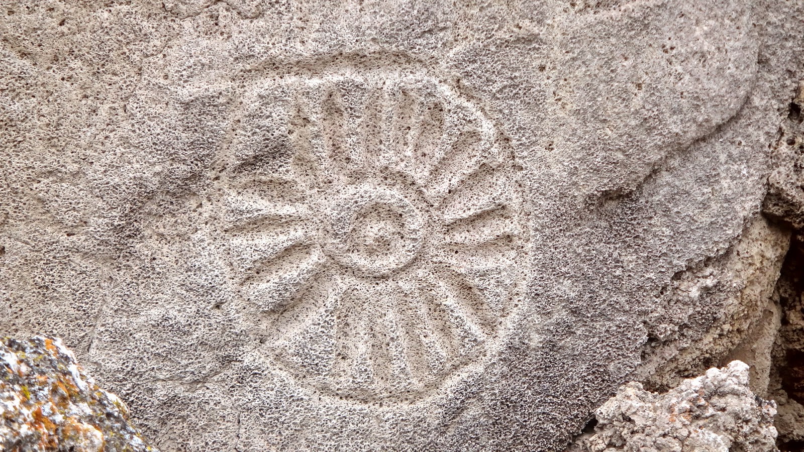 The Fly Syndicate: Winnemucca Lake Petroglyphs - The Oldest Petroglyphs ...