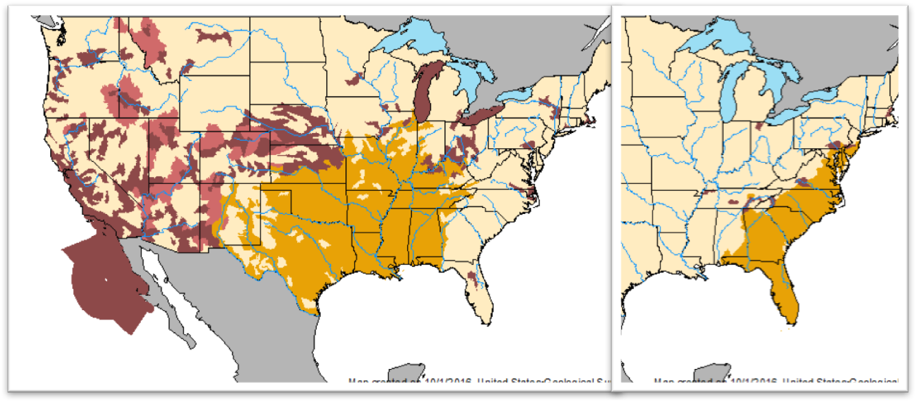 Virginia Tech Ichthyology Class : Mosquitofish, the Wrong Answer for ...