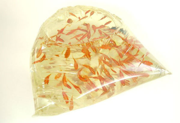 Creative 3D Fish Paintings - Spyful Breaking News